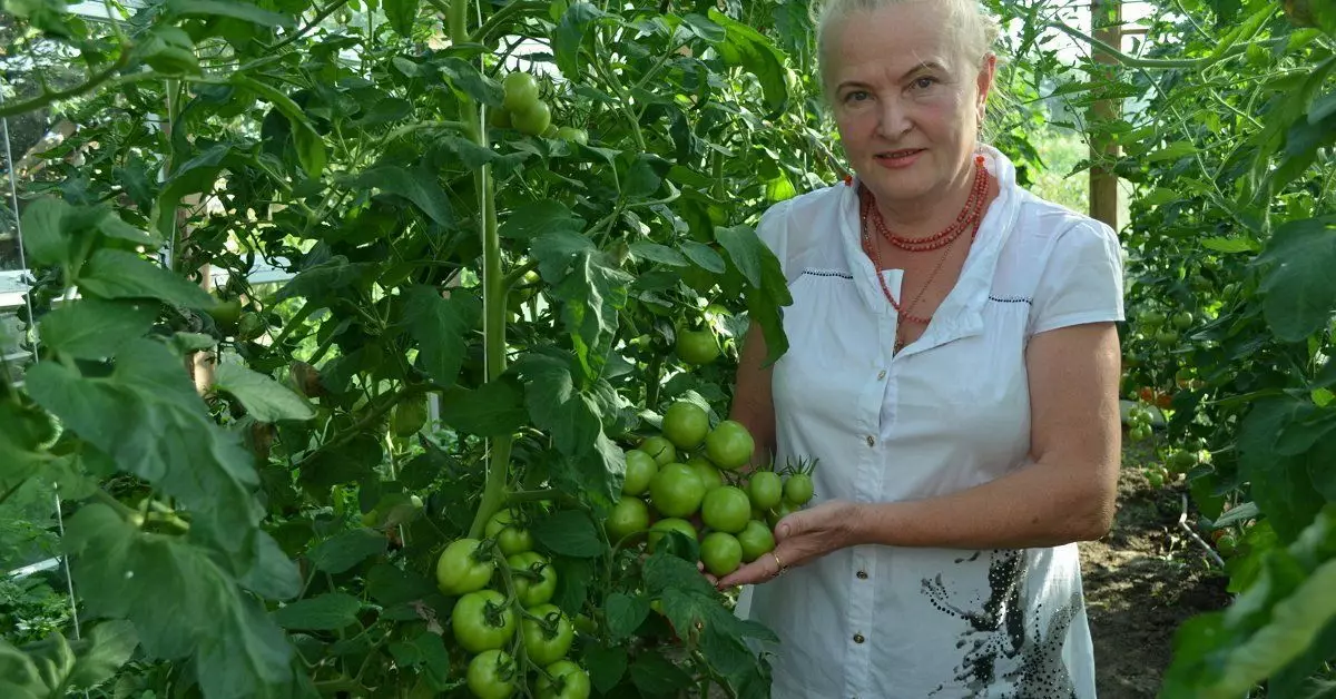 Buedem Virbereedung am Treibhaus: Benotzt effektiv Biopratiounen