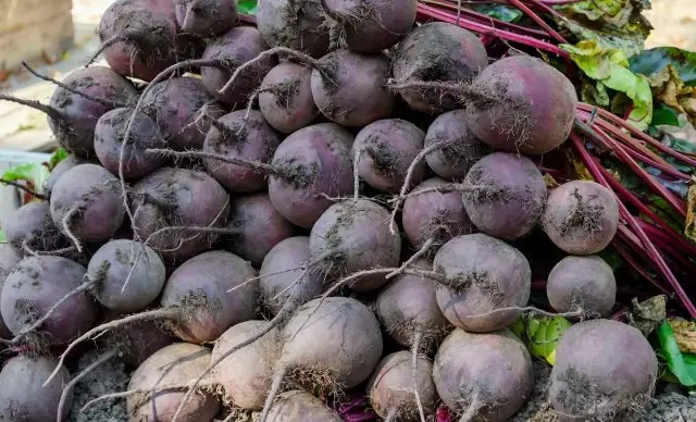 Was kann nach dem Kohl gepflanzt werden - wir planen, das nächste Jahr zu landen 901_19