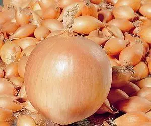 Onions albik