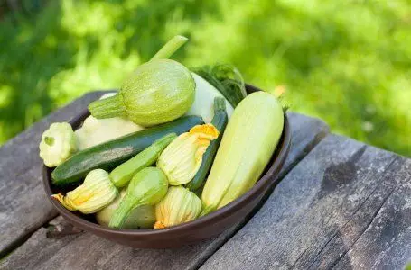 چگونه Zucchini را به بهار تازه نگه دارید 922_3