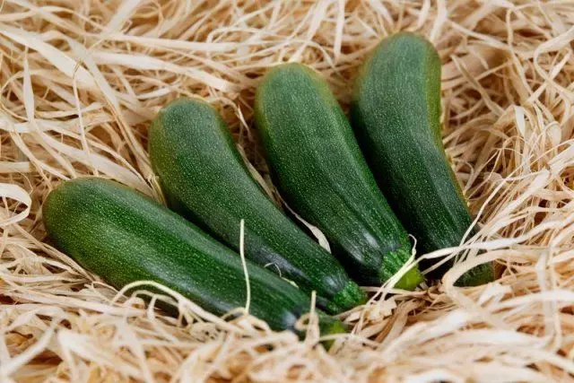 පිදුරු මත zucchini