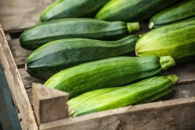 Courgette in die laai