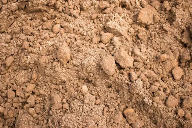 沙子土壤