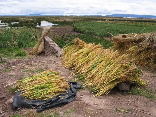 Reciclaje de películas