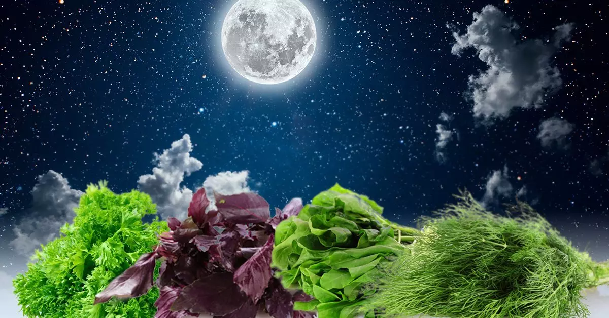 Moon Calendar 2020: Green Growing