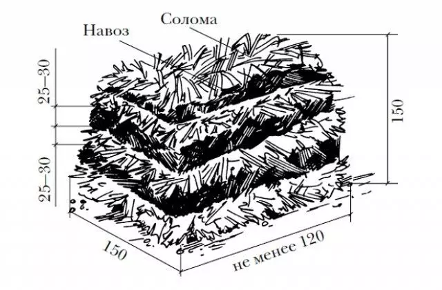 Composite Compost Schema voor champignons