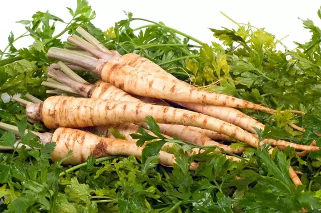 I-Parsley Root