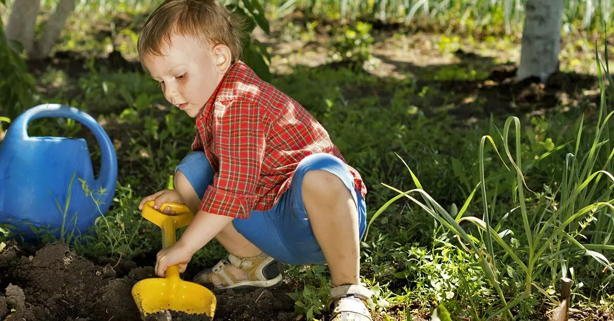 9 garden crops that grow well in the shade