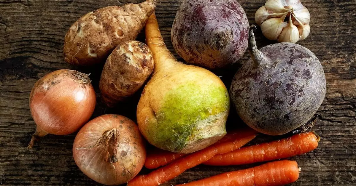 11 most useful bulbs, tubers and rootepodes. Be sure to plant this season!