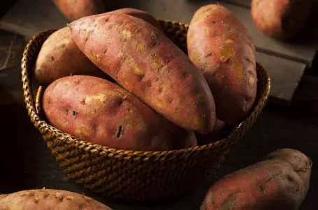 11 lampadine, tuberi e radici più utili. Assicurati di piantare questa stagione! 965_6