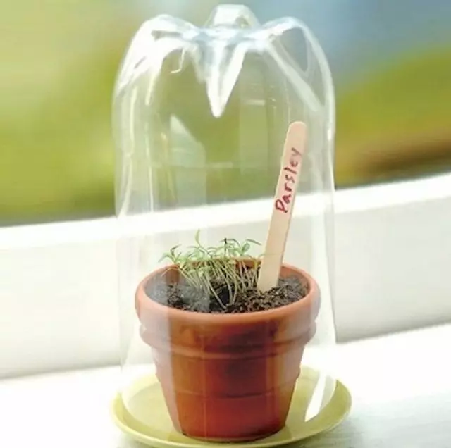 I-Plastice Bottle Greenhouse